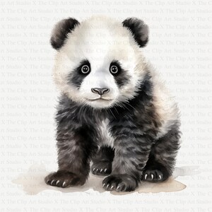 Panda Clipart | 10 High Quality Jpgs | Digital Download | Card Making ...
