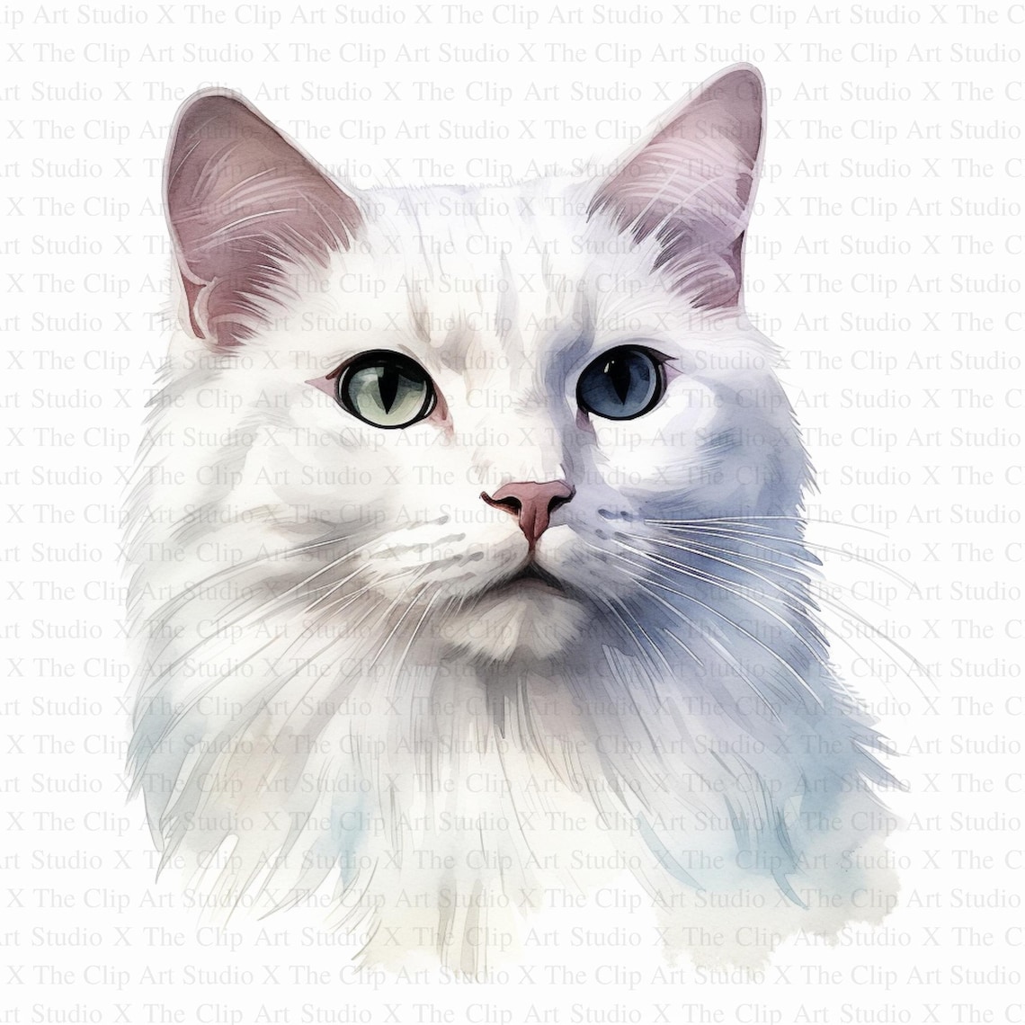 White Cats Clipart | 10 High Quality Jpgs | Digital Download | Nursery ...