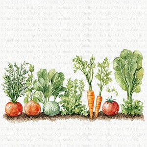Vegetable Garden Clipart | 10 High Quality Jpgs | Digital Download ...
