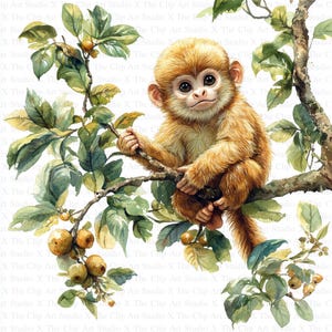 Watercolor Monkey Clipart | 10 High Quality Jpgs | Instant Digital ...
