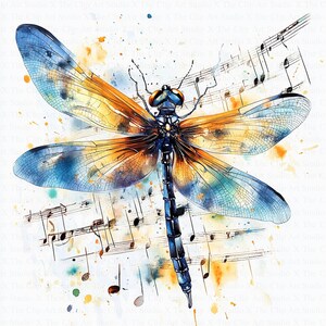 Dragonfly Music Notes Clipart | 10 High Quality JPG | Digital Download ...