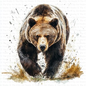 Grizzly Bear Clipart | 10 High Quality Jpgs | Digital Download | Card ...