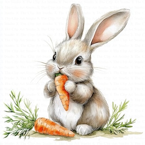 Bunny With Carrot Clipart | 10 High Quality Jpgs | Digital Download ...