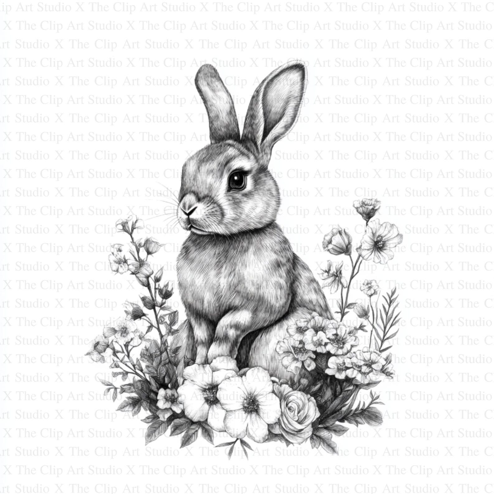 Bunny Black Ink Clipart | 10 High Quality Jpgs | Instant Digital ...