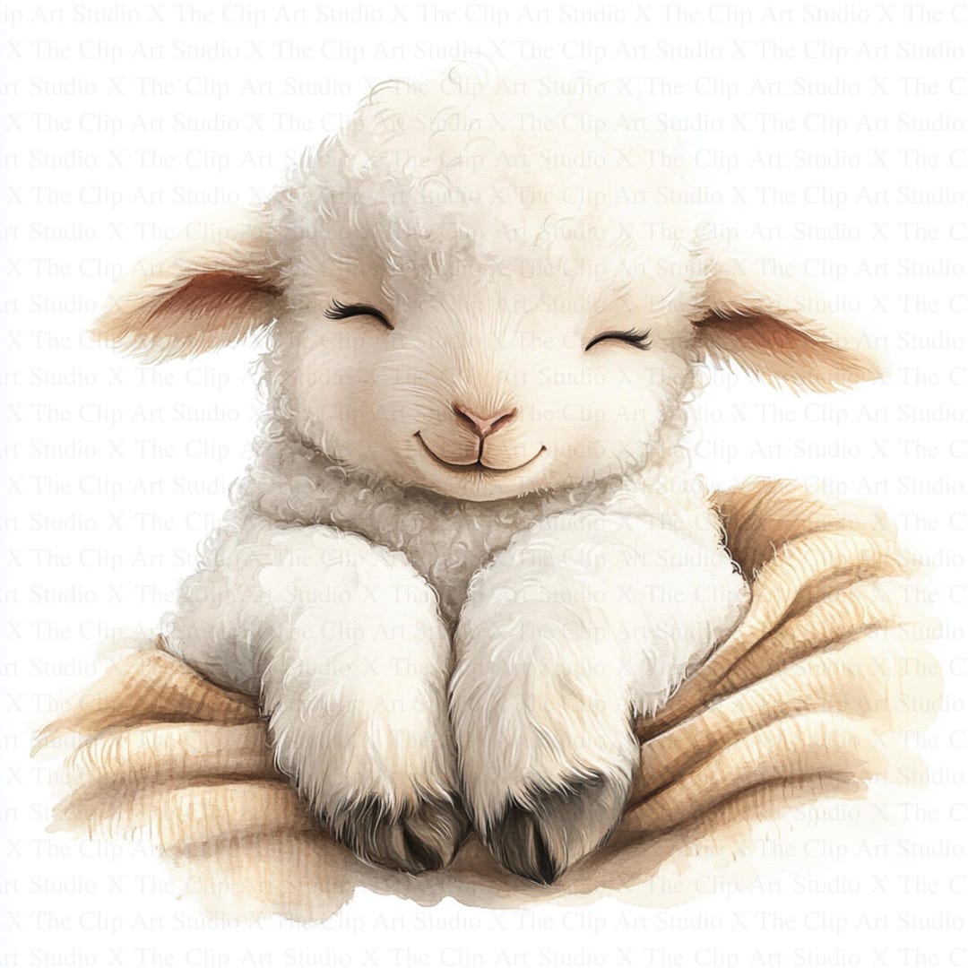 Cute Lamb Clipart | 10 High Quality Jpgs | Digital Download ...