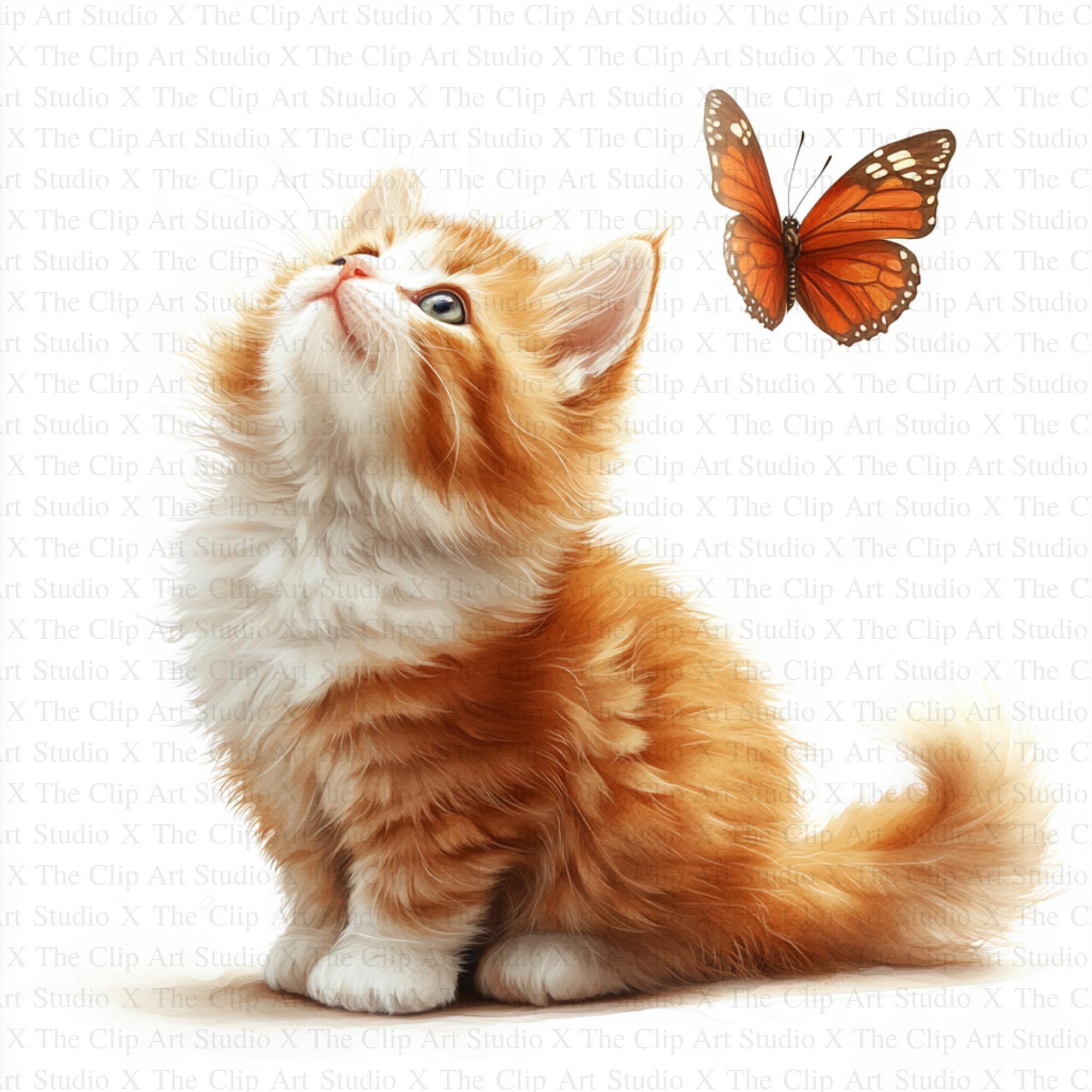 Kitten and Butterfly Clipart | 10 High Quality Jpgs | Digital Download ...