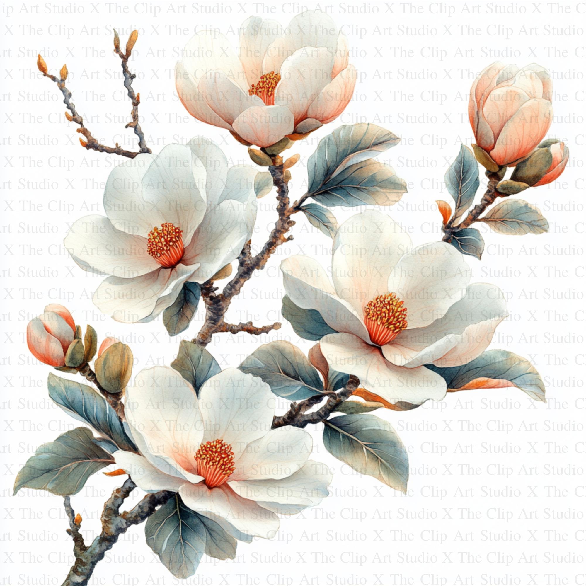 Magnolia Branches Clipart | 10 High Quality Jpgs | Instant Digital ...