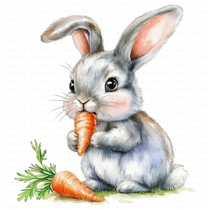 Bunny With Carrot Clipart | 10 High Quality Jpgs | Digital Download ...