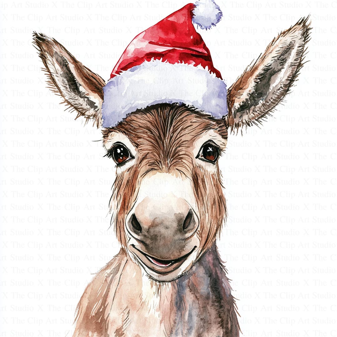 Donkey With Santa Hat Clipart | 10 High Quality Jpgs | Digital Download ...