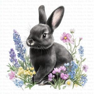 Bunny Black Ink Clipart | 10 High Quality Jpgs | Instant Digital ...