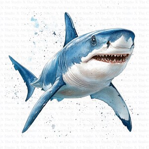 Watercolor Shark Clipart 10 High Quality Jpgs Digital Download Nursery ...