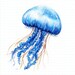 Jellyfish Clipart | 10 High Quality Jpgs | Digital Download | Sea Jelly ...