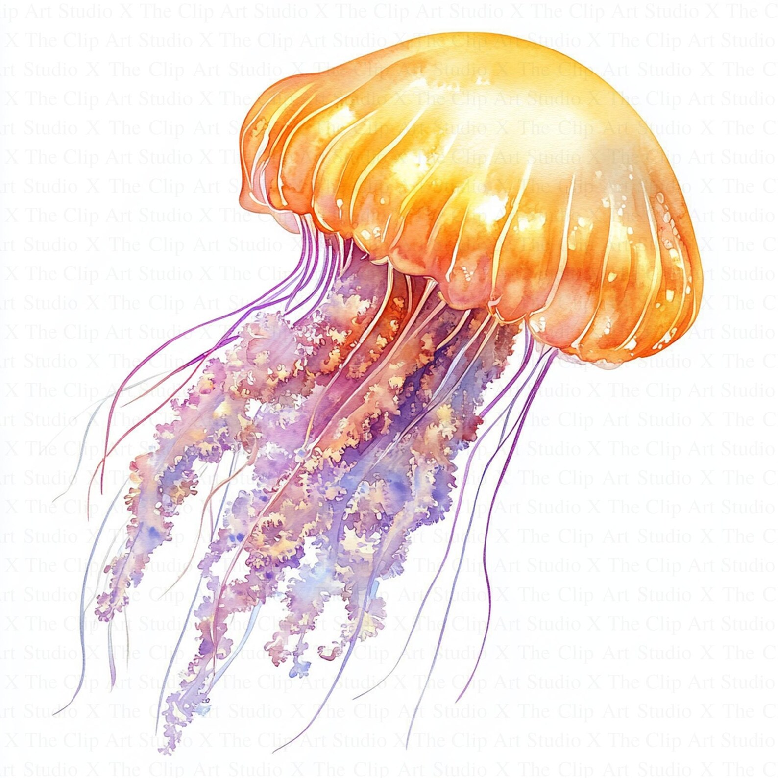 Jellyfish Clipart | 10 High Quality Jpgs | Digital Download | Sea Jelly ...