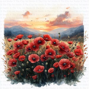 Sunset Poppy Fields Clipart | 10 High Quality Jpgs | Digital Download ...