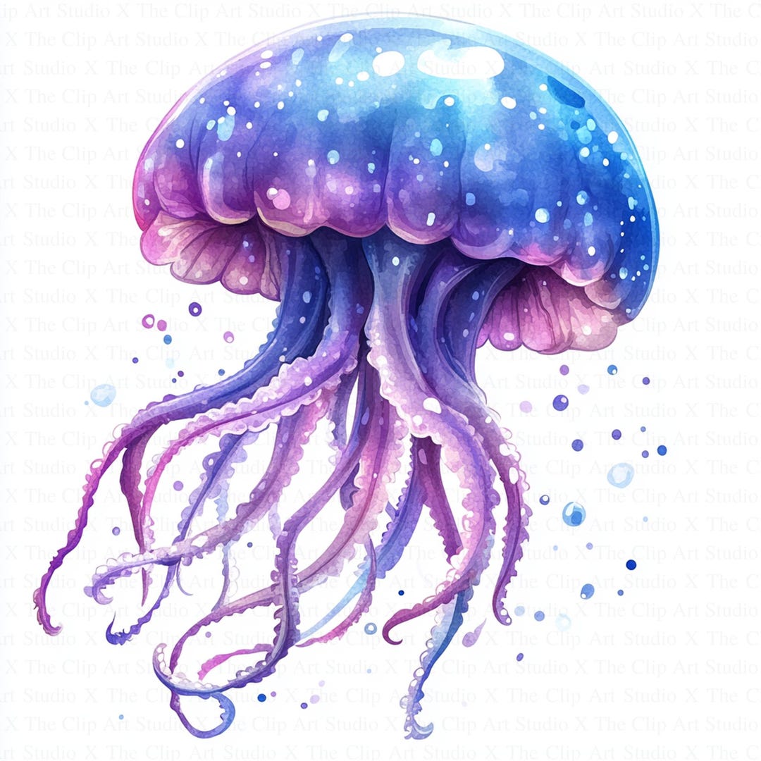 Jellyfish Clipart | 10 High Quality Jpgs | Digital Download | Sea Jelly ...