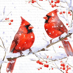 Winter Red Cardinals Clipart | 10 High Quality Jpgs | Digital Download ...