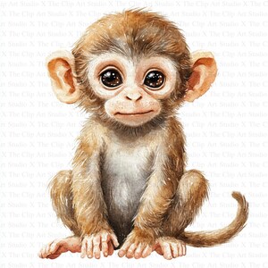 Watercolor Monkey Clipart | 10 High Quality Jpgs | Instant Digital ...