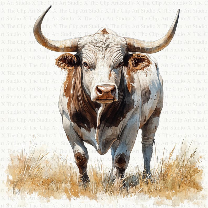 Bull Clipart | 10 High Quality Jpgs | Instant Digital Download ...