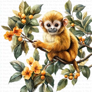 Watercolor Monkey Clipart | 10 High Quality Jpgs | Instant Digital ...