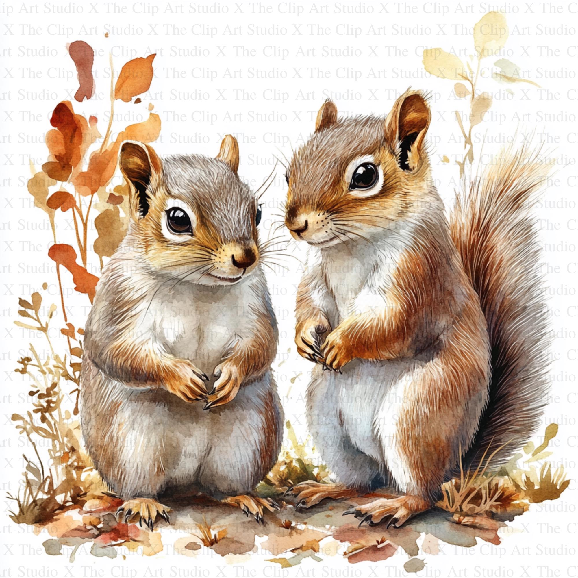 Watercolor Squirrels Clipart 10 High Quality Jpgs Digital Download Cute ...