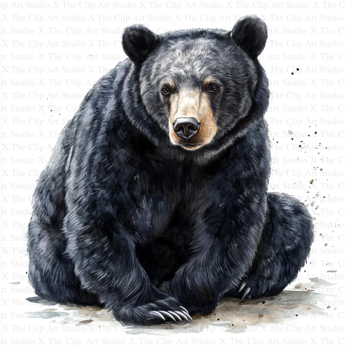 Watercolor Black Bear Clipart | 10 High Quality Jpgs | Digital Download ...