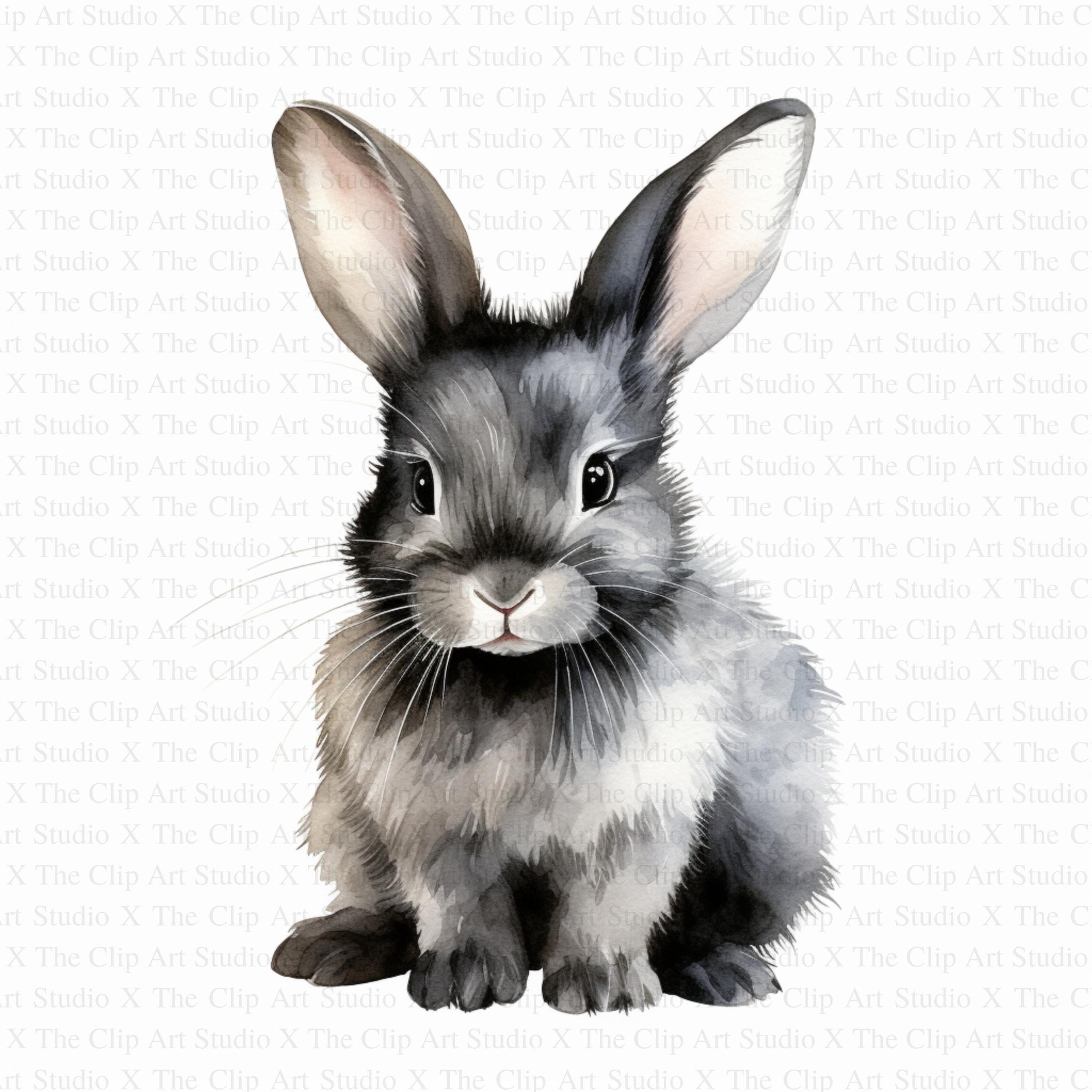 Bunny Black White Clipart 10 High Quality Jpgs Digital Download Paper ...