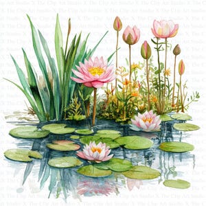 Watercolor Pond Clipart | 10 High Quality Jpgs | Digital Download ...