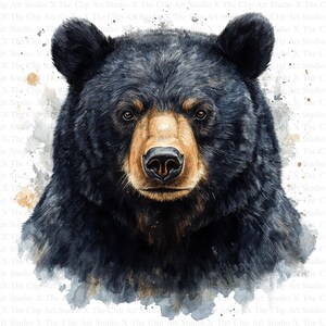 Watercolor Black Bear Clipart | 10 High Quality Jpgs | Digital Download ...