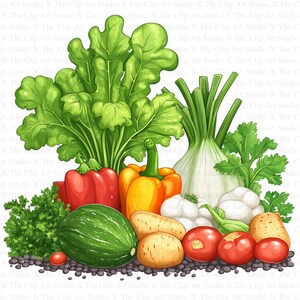 Vegetable Garden Clipart | 10 High Quality Jpgs | Digital Download ...