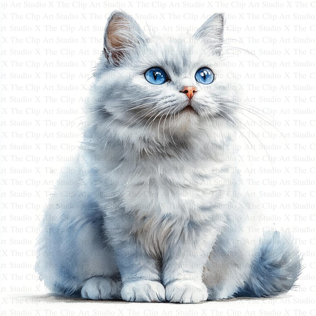 White Cats Clipart | 10 High Quality Jpgs | Digital Download | Card ...