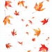 Falling Autumn Leaves Clipart | 10 High Quality JPG | Digital Download ...