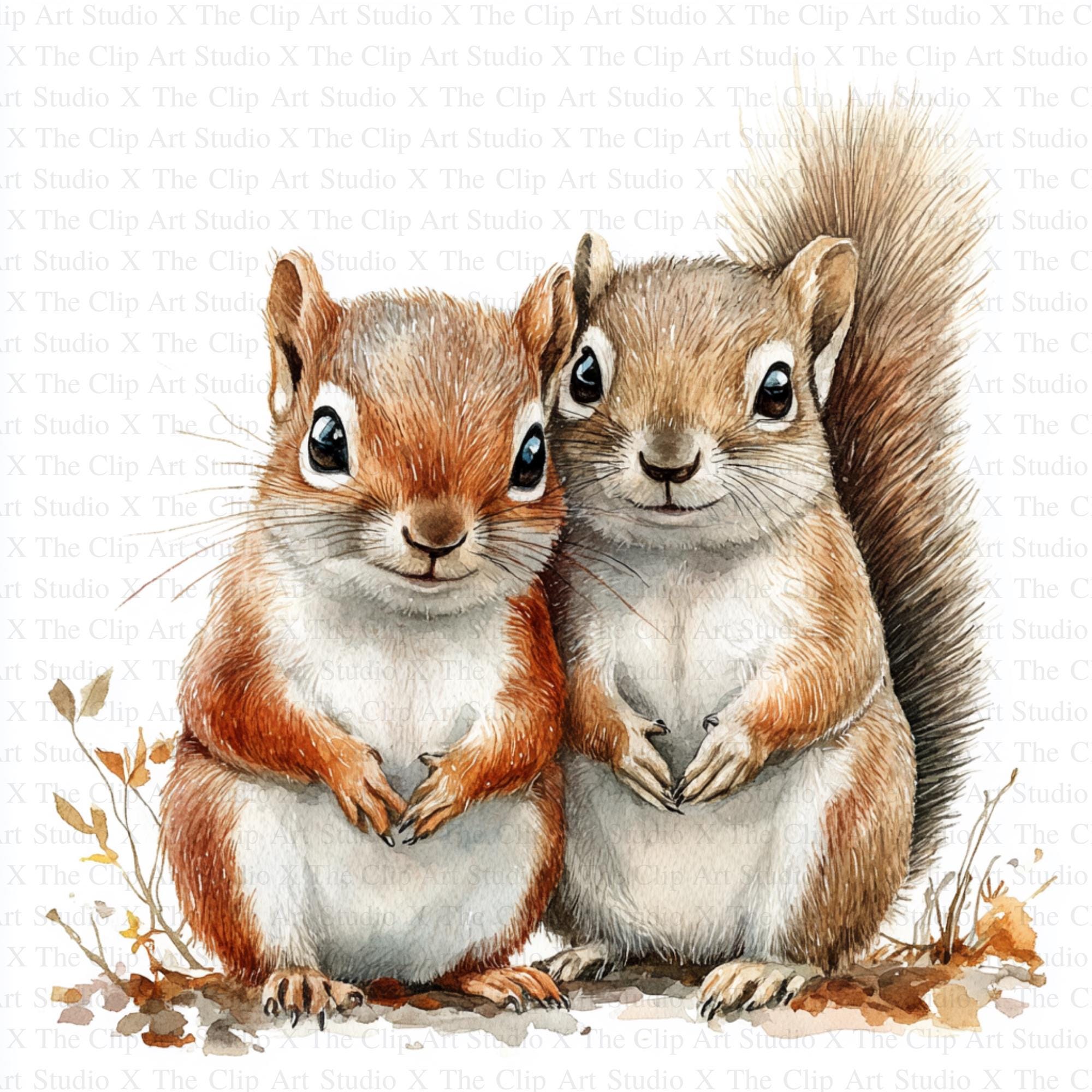 Watercolor Squirrels Clipart 10 High Quality Jpgs Digital Download Cute ...