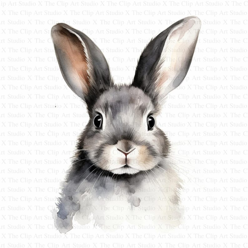Bunny Black White Clipart 10 High Quality Jpgs Digital Download Paper ...