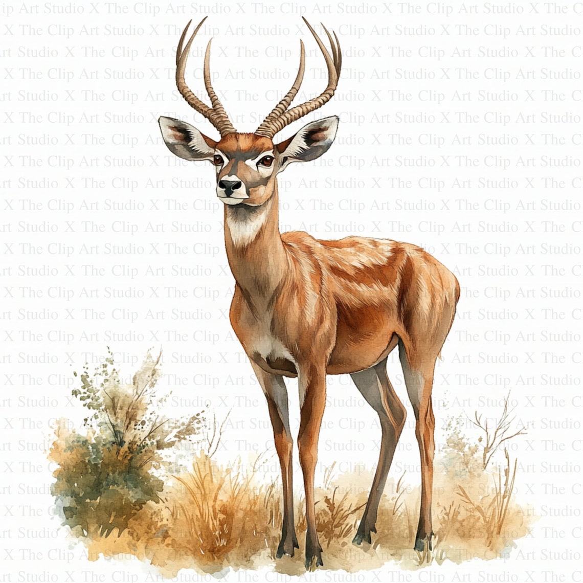 Great Kudu Clipart | 10 High Quality Jpgs | Instant Digital Download ...