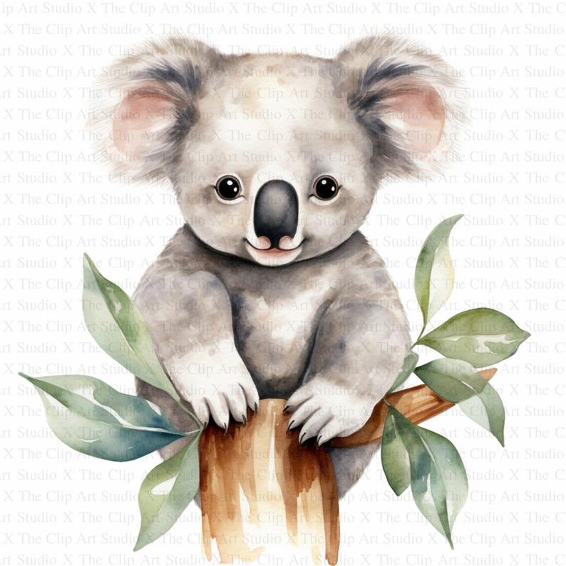 Watercolor Koala Clipart | 10 High Quality Jpgs | Digital Download ...