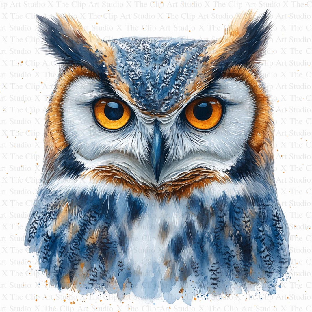 Watercolor Owl Clipart | 10 High Quality Jpgs | Digital Download ...
