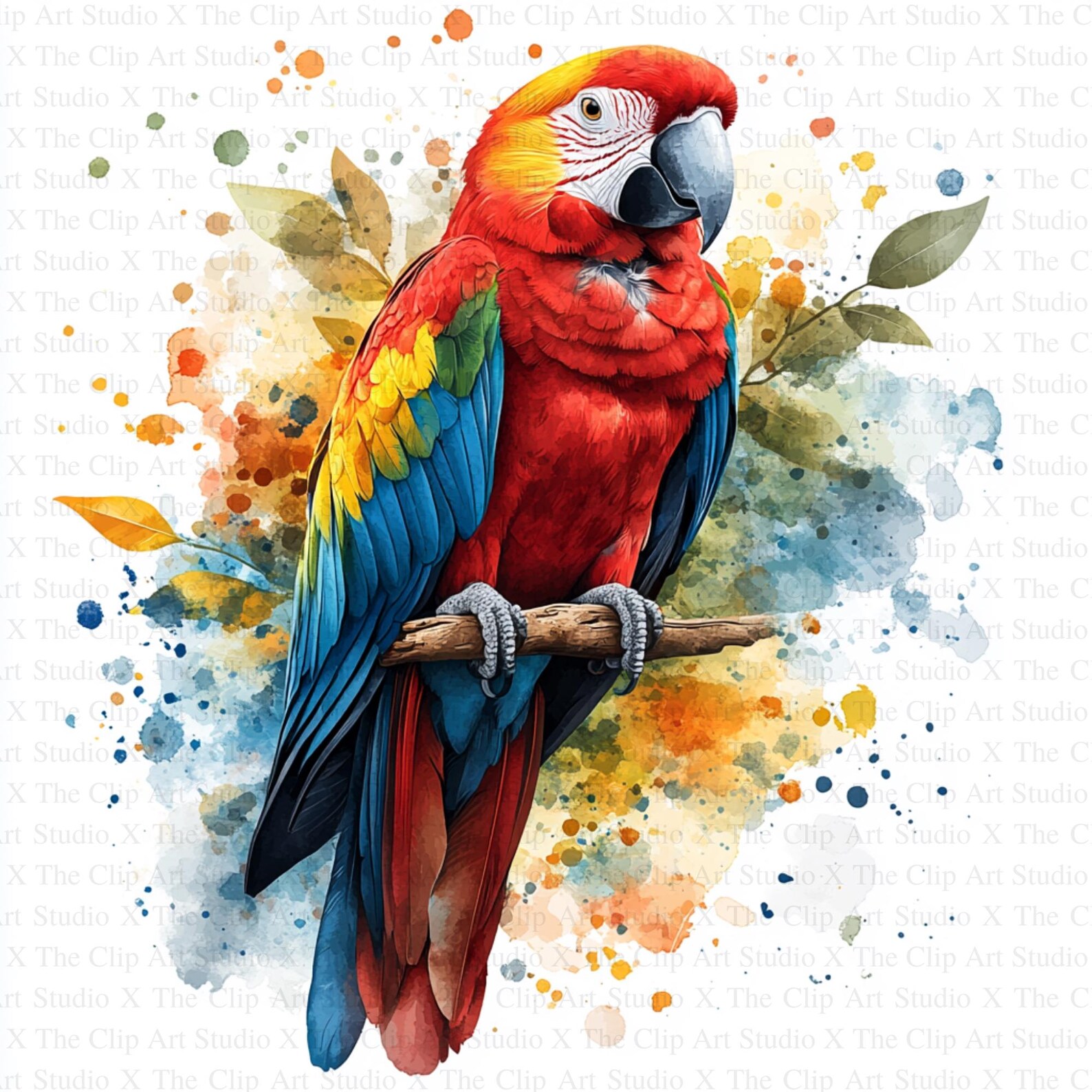 Colorful Parrot Clipart 10 High Quality Jpgs Digital Download Parrot ...