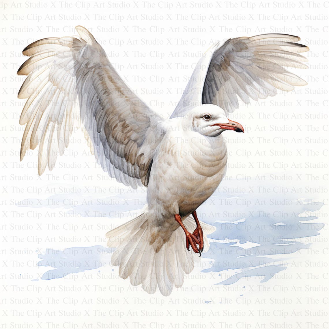 Seagull Clipart | 10 High Quality Jpgs | Digital Download | Junk ...