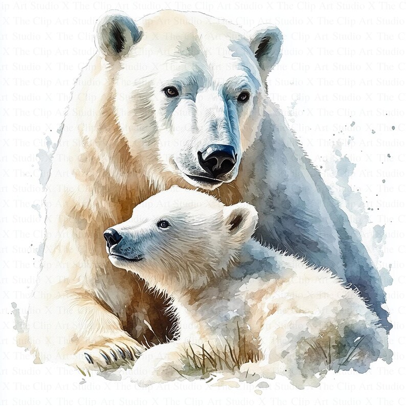 Polar Bear and Cub Clipart 10 High Quality Jpgs Digital Download ...