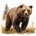 Grizzly Bear Clipart | 10 High Quality Jpgs | Digital Download | Card ...