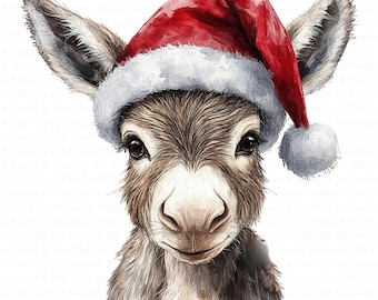 Donkey With Santa Hat Clipart | 5 High Quality Jpgs | Digital Download ...