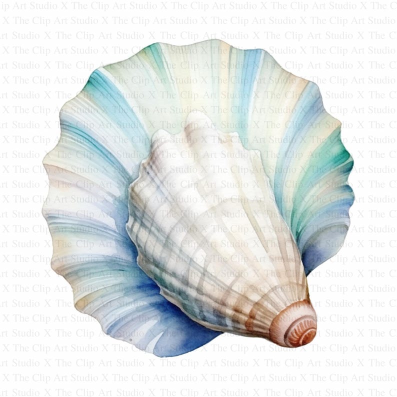 Seashells Clipart | 10 High Quality Jpgs | Digital Download | Paper ...