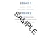 CC Challenge B - LTW Worksheets, Outline, & Template - Etsy