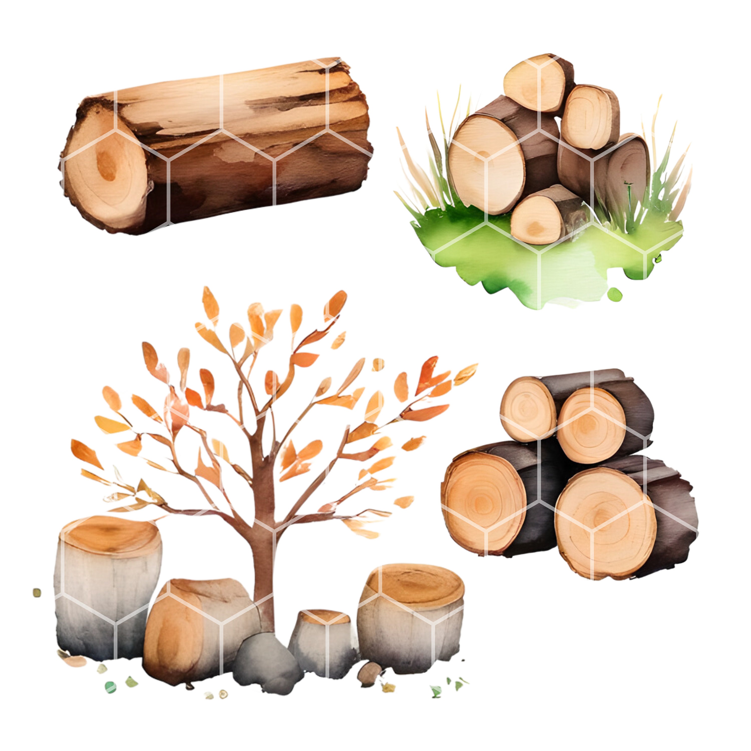 Enchanted Forest Friends Clipart 50 Watercolor Pngs, Woodland Animals ...