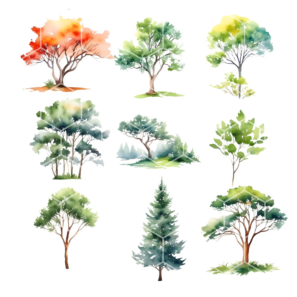 Watercolor Trees Clipart Set: PNG Images for Commercial Use Forest and ...