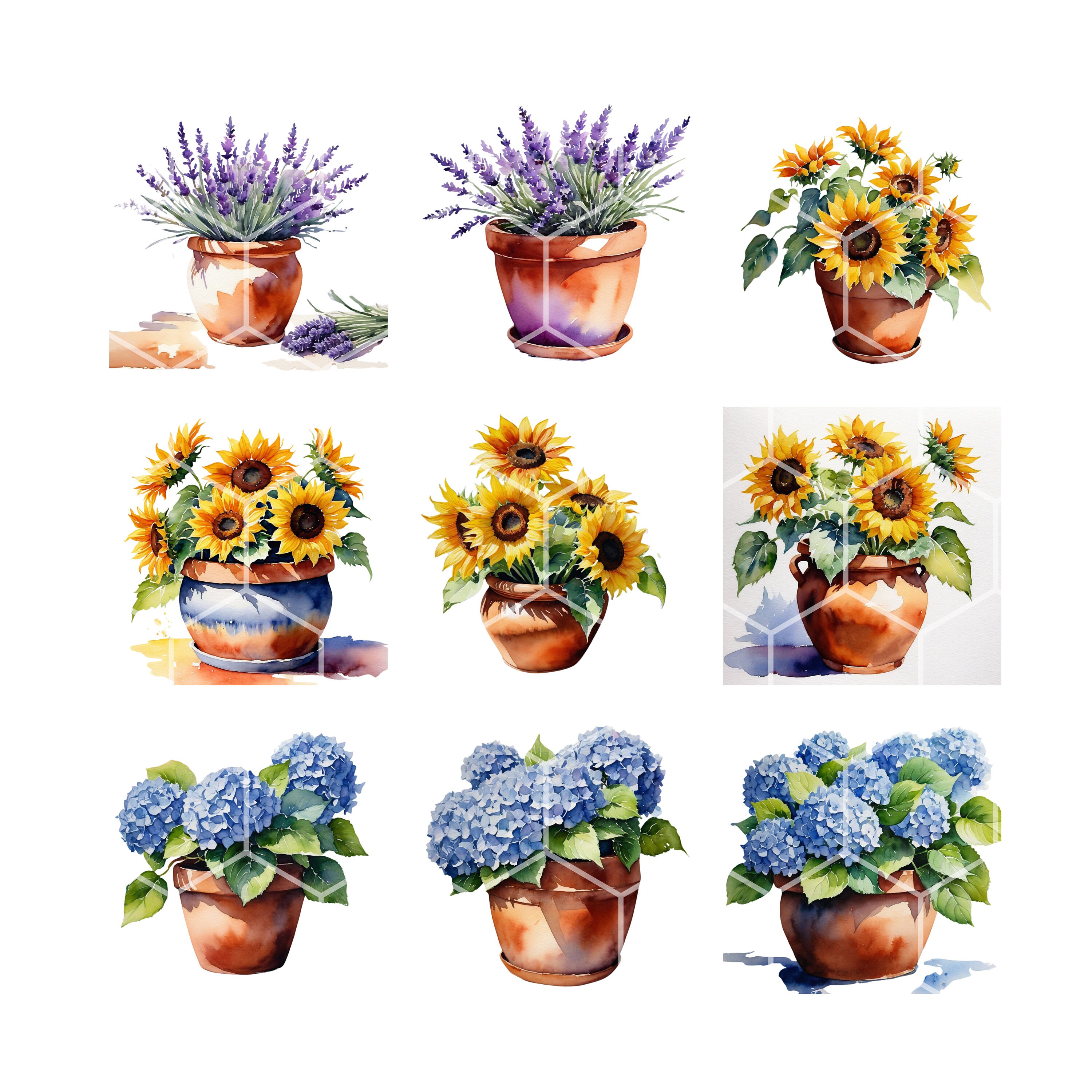 Watercolor Flower Pots Clipart Pack - Transparent Pngs, Floral Planner ...