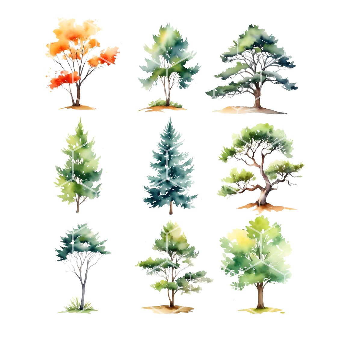 Watercolor Trees Clipart Set: PNG Images for Commercial Use Forest and ...