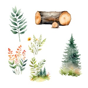 Enchanted Forest Friends Clipart 50 Watercolor Pngs, Woodland Animals ...