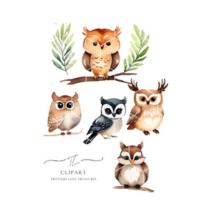 Adorable Owl Watercolor Clipart Collection - 9 Transparent Pngs ...
