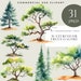 Watercolor Trees Clipart Set: PNG Images for Commercial Use Forest and ...